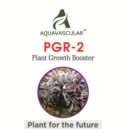AquaVascular PGR2 30ml - Aqua Zones