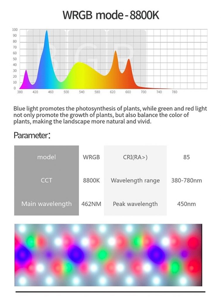 WRGB LED with Wooden Stand - Aqua Zones