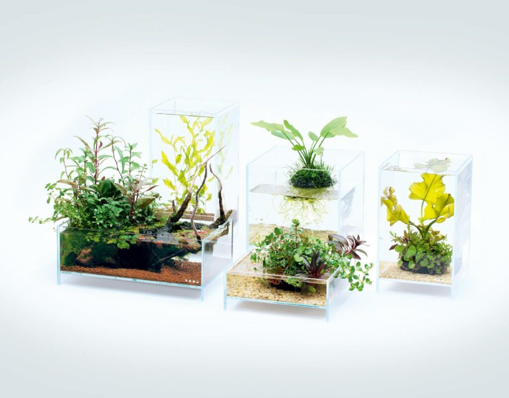 DOOA Neo Glass AIR W15×D15×H25 (cm) - Aqua Zones