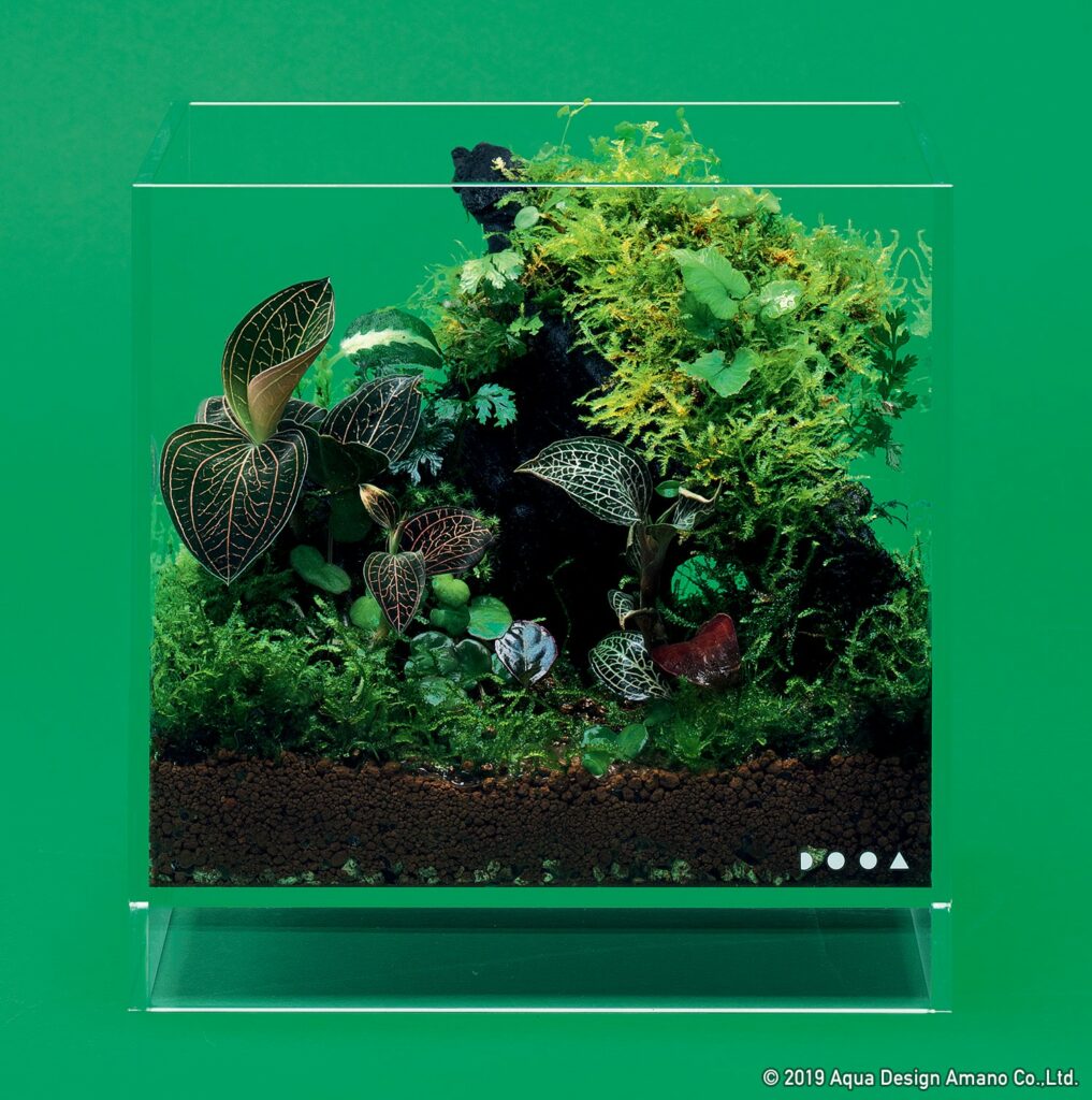 DOOA Neo Glass AIR W20×D20×H20 (cm) - Aqua Zones