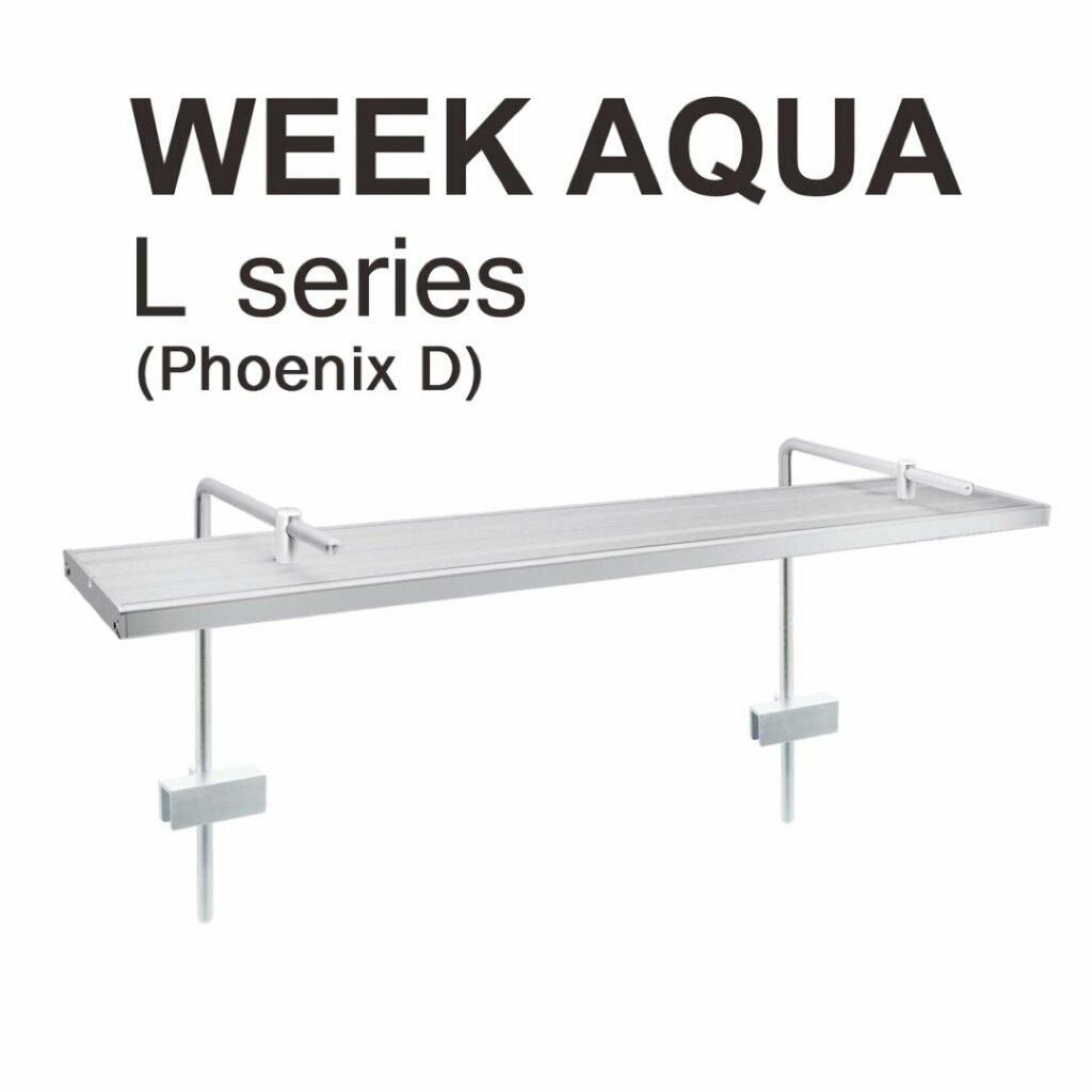 WEEK Aqua – Aqua Zones
