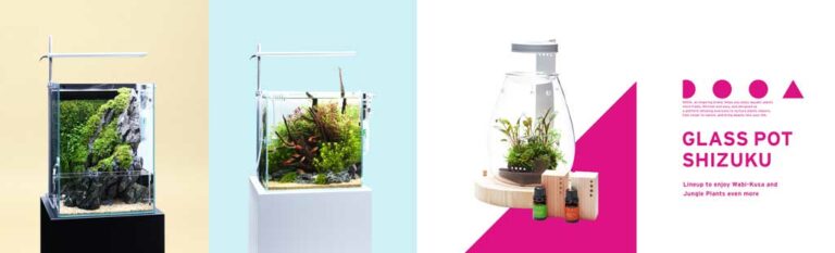 DOOA System TERRA 30 - Aqua Zones