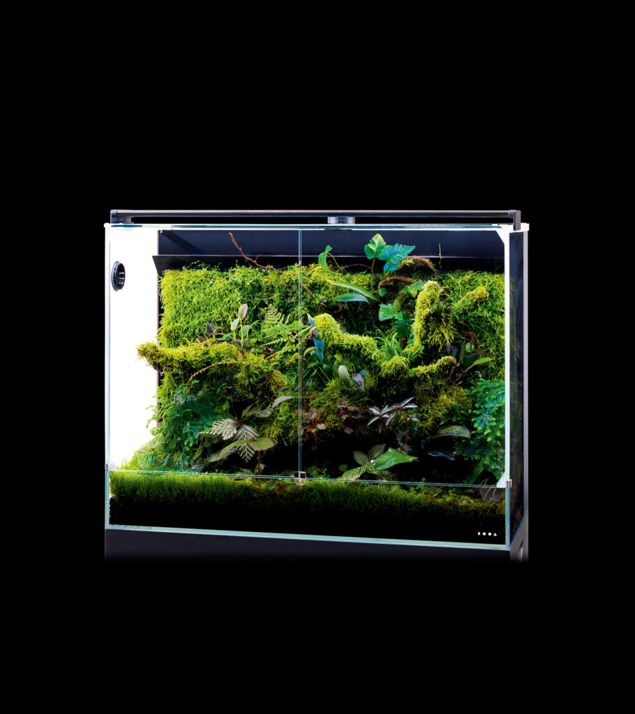 Paludarium - Aqua Zones