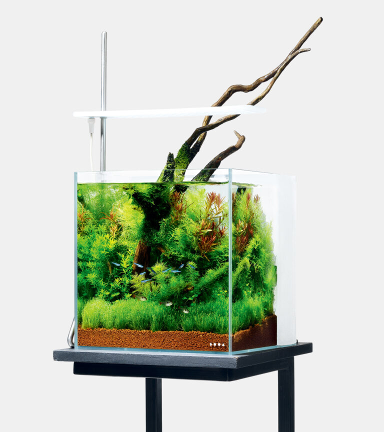 DOOA System - Aqua Zones