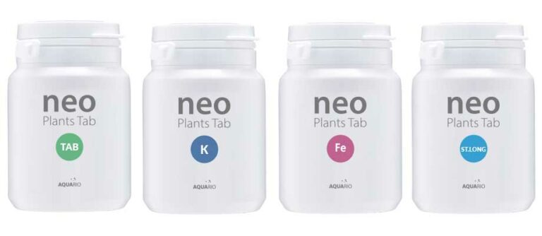 Root Tabs - Aqua Zones