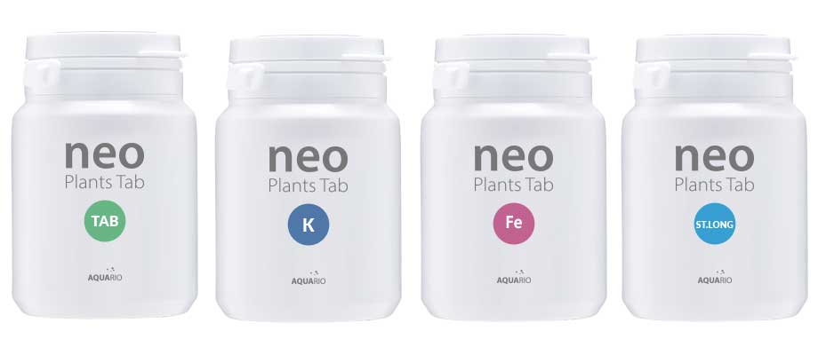 Root Tabs - Aqua Zones