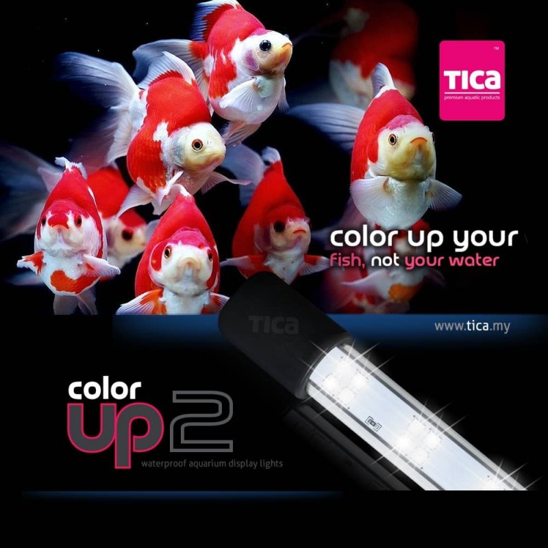 LED Lights - Page 2 of 8 - Aqua Zones