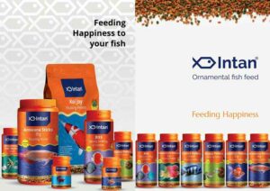 Intan Marine Algae & Seaweed Wafers Big - Aqua Zones