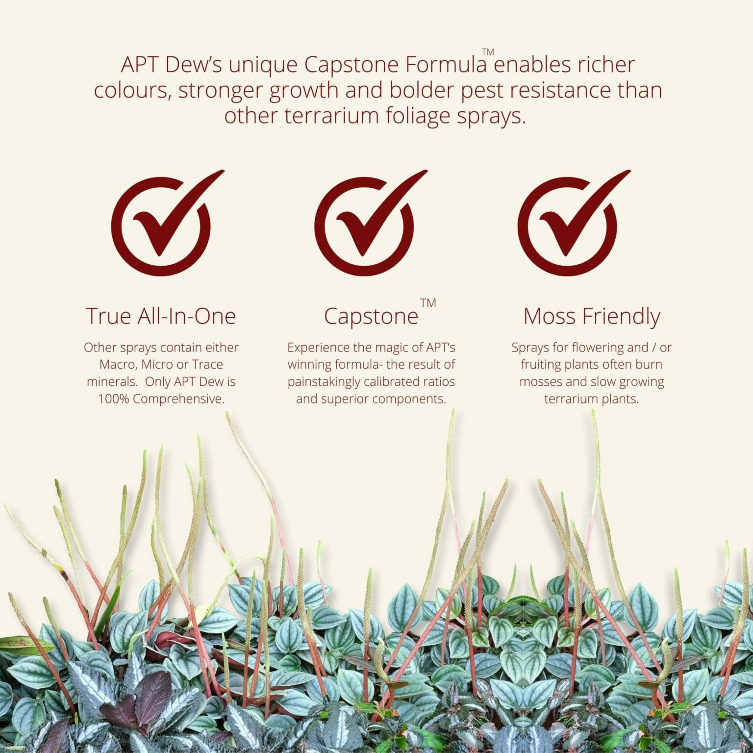FERTILIZERS & ADDITIVES - Page 2 of 6 - Aqua Zones