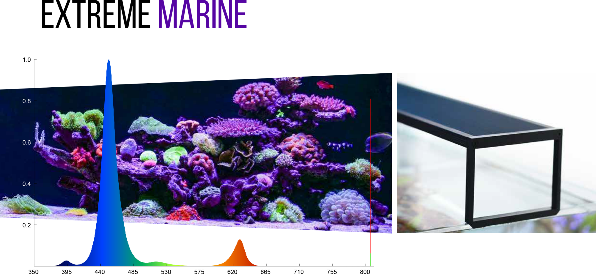 NemoLight Extreme Series II E450 Marine LED Light - Aqua Zones