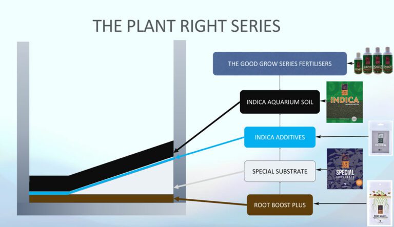 INDICA Special Substrate Advanced - Aqua Zones