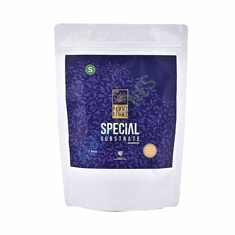 Ultra Clear Tanks (Cubes) - Aqua Zones